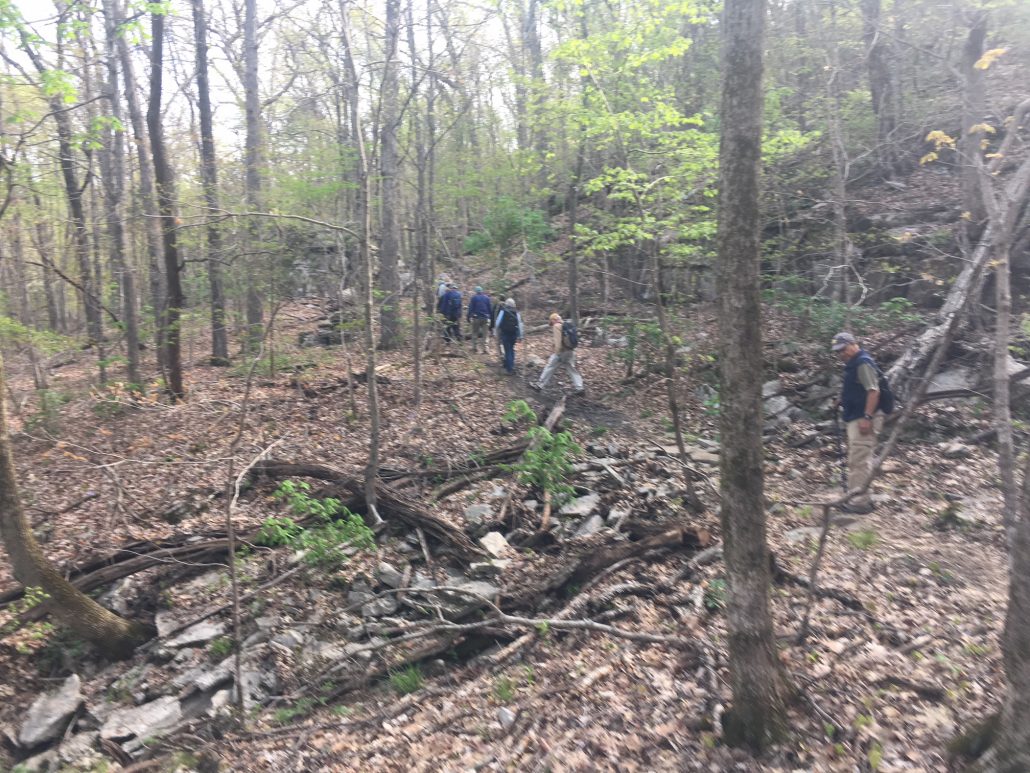Land Trust Fanning and Sugar Tree Trails - Steve Jones Great Blue Heron