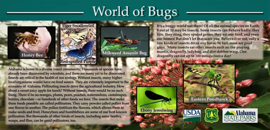 Interpretive Signage at Cheaha State Park: Enhancing Nature ...