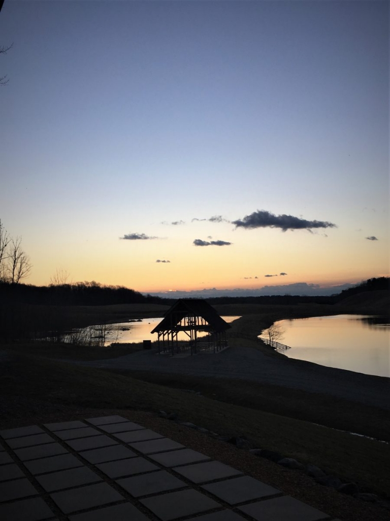 Mid-March Revelations on "Worn-Out" Land! - Steve Jones Great Blue Heron