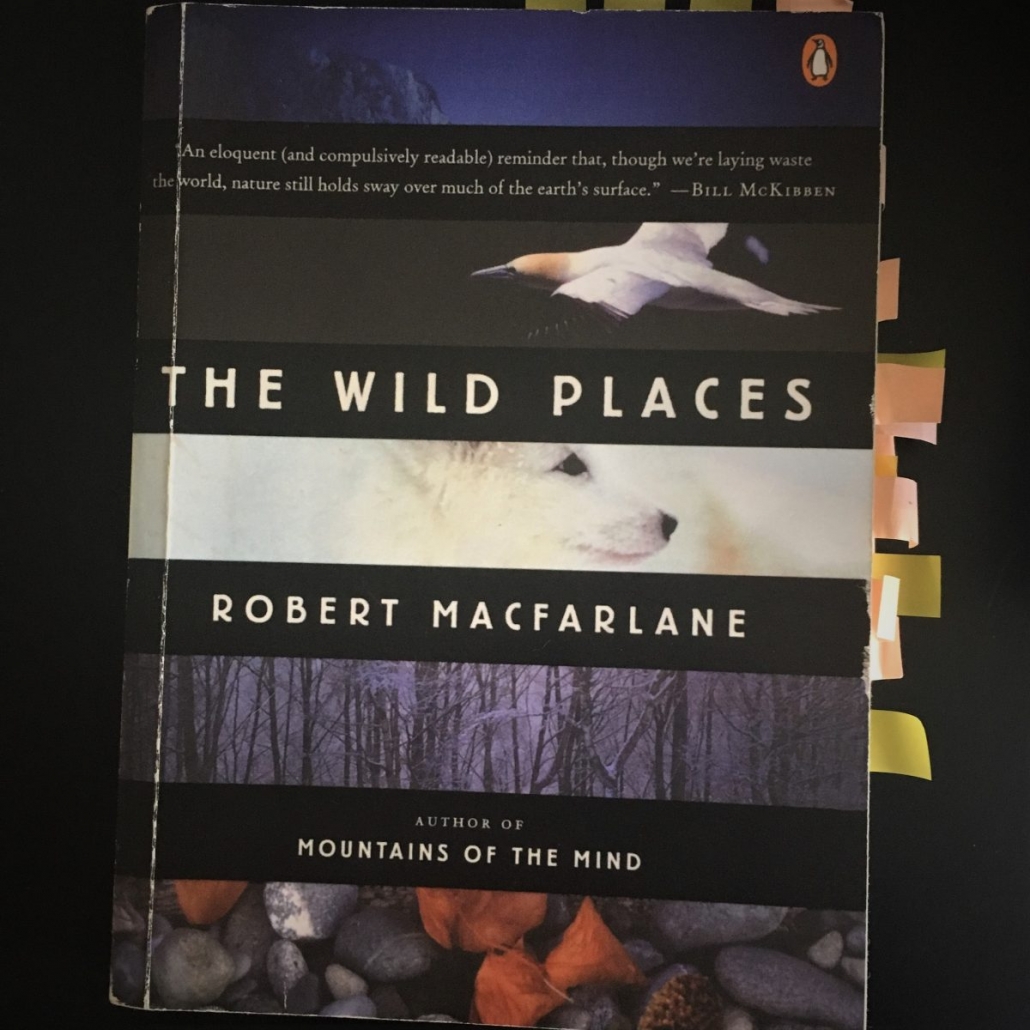 Where Is Wild and How Do We Recognize It? - Steve Jones Great Blue Heron