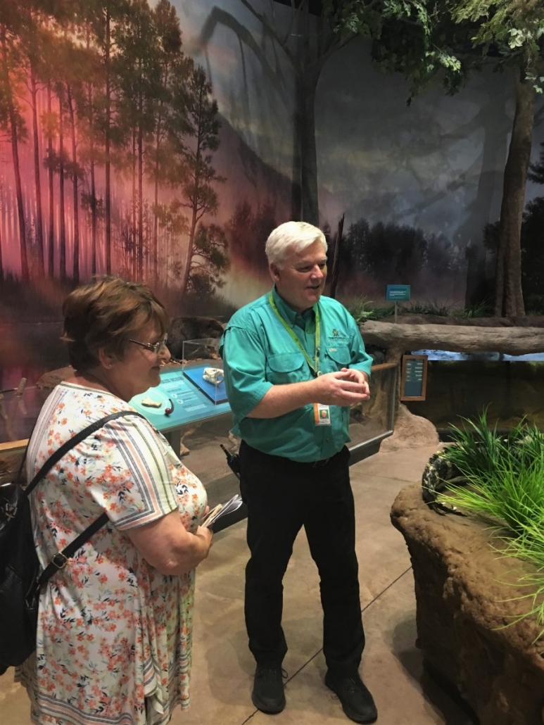 The Brand New Cook Museum of Natural Science! - Steve Jones Great Blue ...
