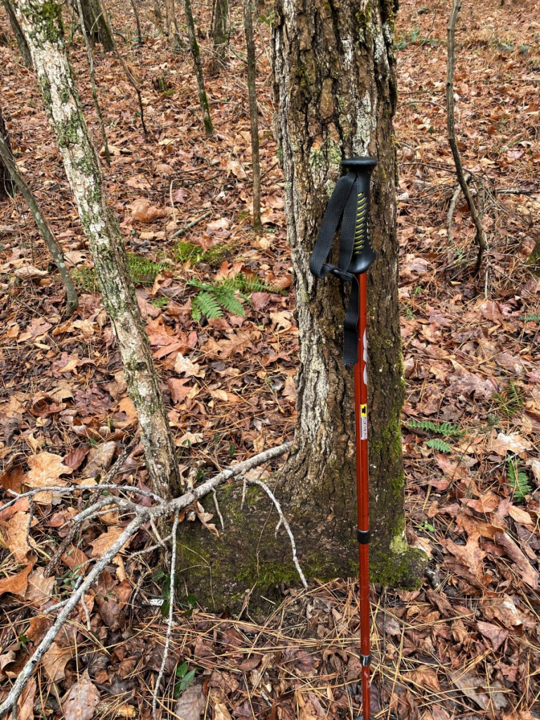 Indian Marker Trees: Separating Folklore from Fact - Steve Jones Great ...