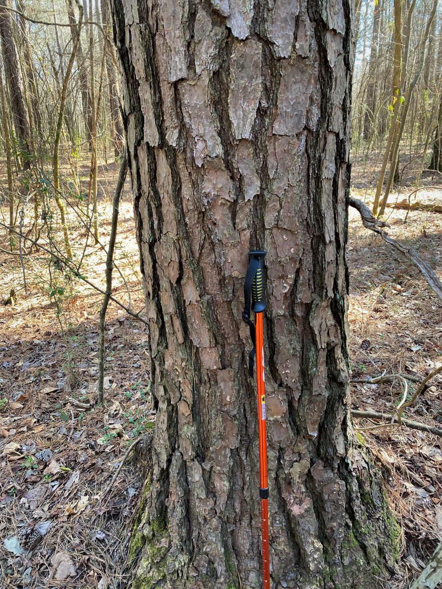 Wheeler NWR 03.07.21 WNWR, Typical Lob, 22-inch - Steve Jones Great ...