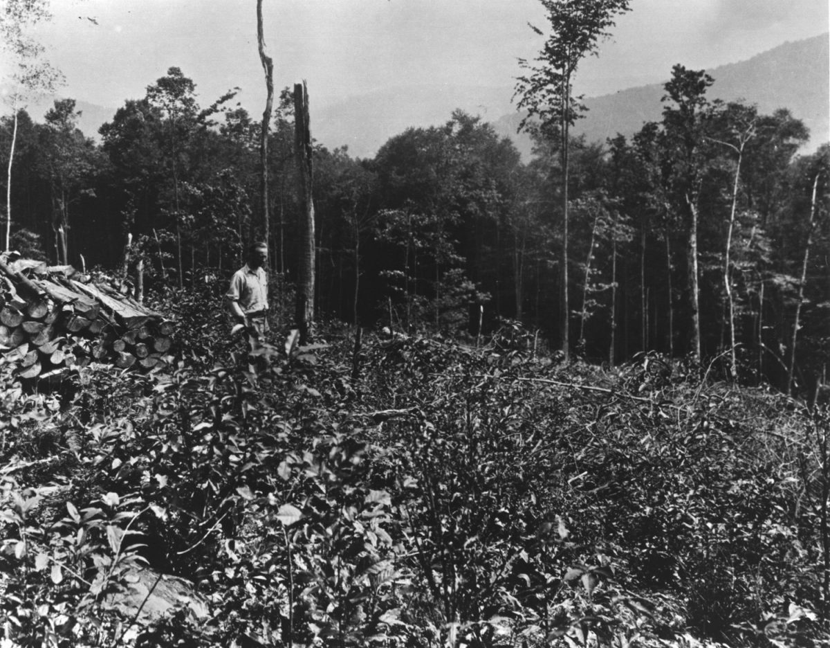 Heart's Content in NW Pennsylvania (Part One) - Steve Jones Great Blue ...