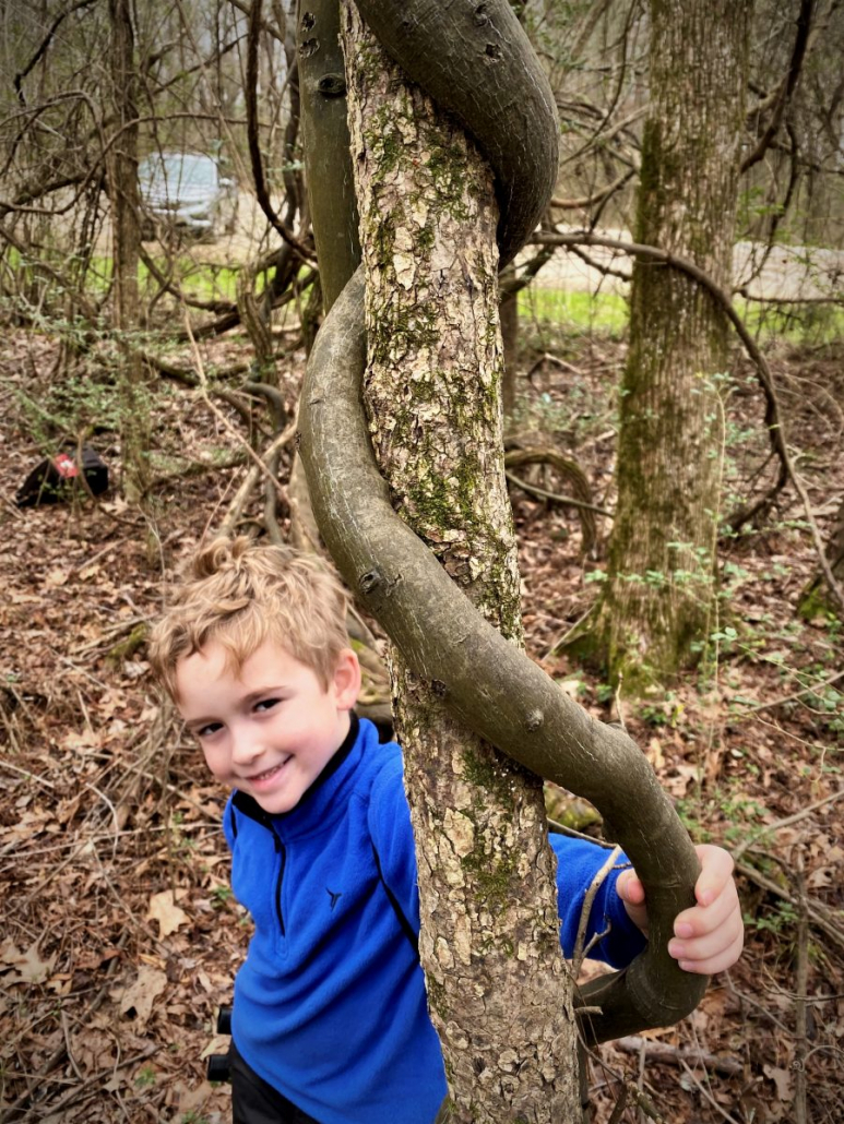 Exploring the Spiral Nature of Northern Alabama's Tree Vines - Steve ...