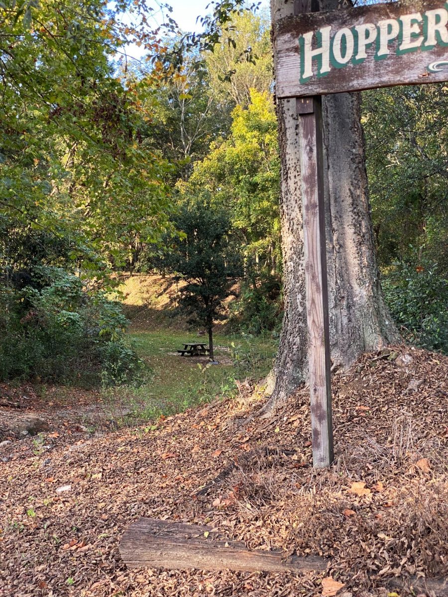 IMG_5763.jpg 10.13.22 Yoholo Micco Trail 5.18 PM - Steve Jones Great ...