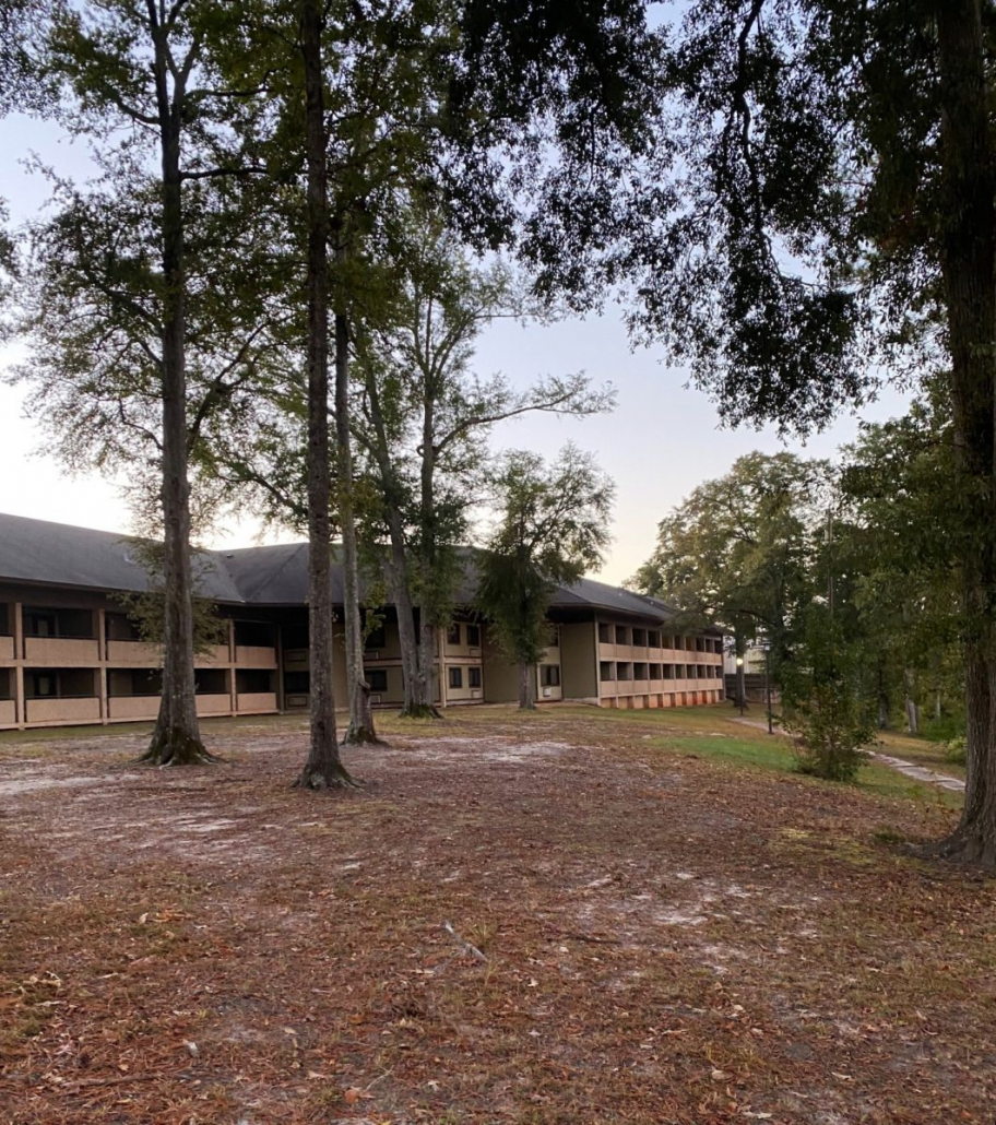 Alabama's Lake Point State Park; Managed Loblolly Pine - Steve Jones ...