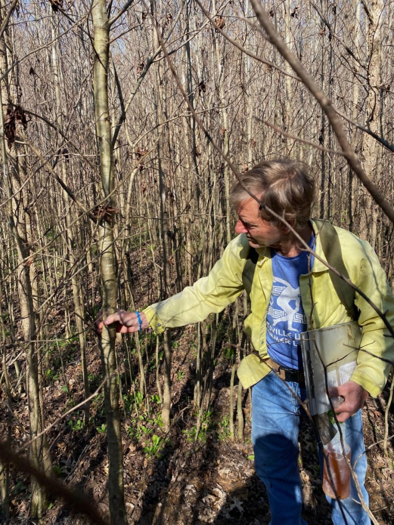 Nine Years of Wetland Restoration at Webb Pond Preserve - Steve Jones ...