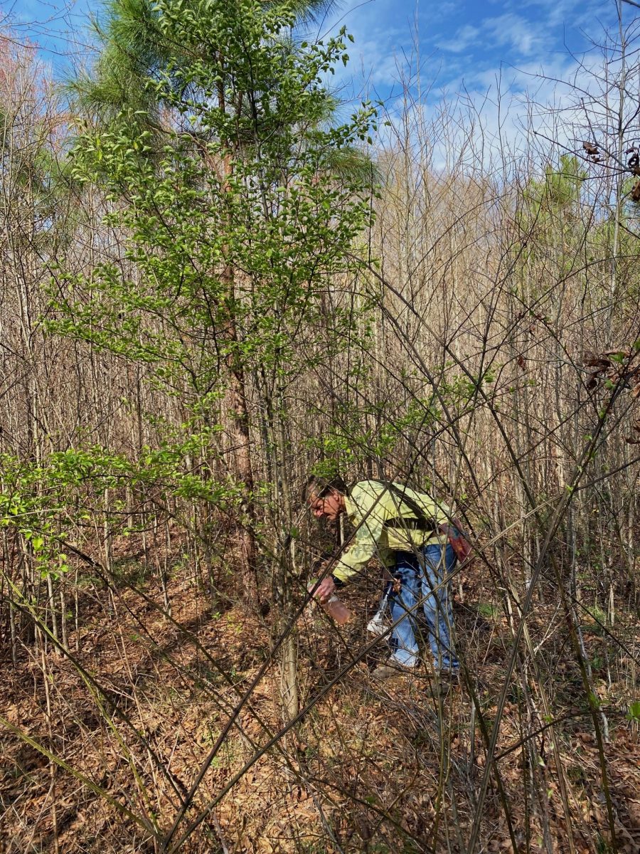 Nine Years of Wetland Restoration at Webb Pond Preserve - Steve Jones ...