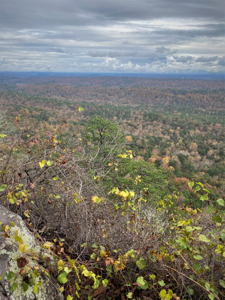 Three Lake Jewels on the 1,600-Acre Belcher Property Addition: Oak ...