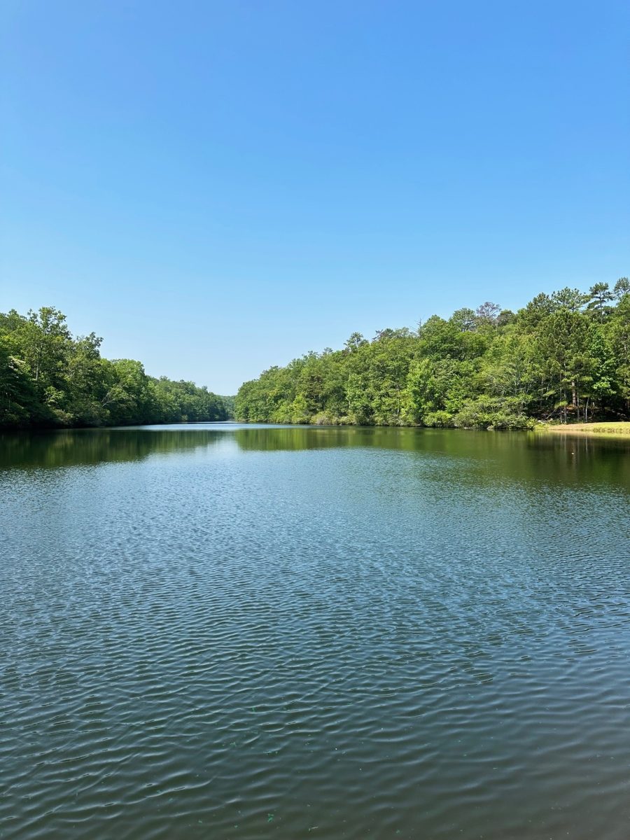 Three Lake Jewels on the 1,600-Acre Belcher Property Addition: Oak ...