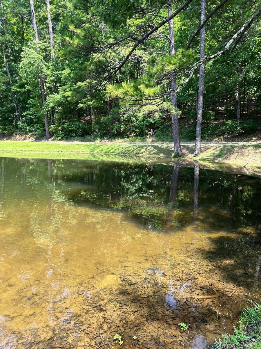 Three Lake Jewels on the 1,600-Acre Belcher Property Addition: Oak ...