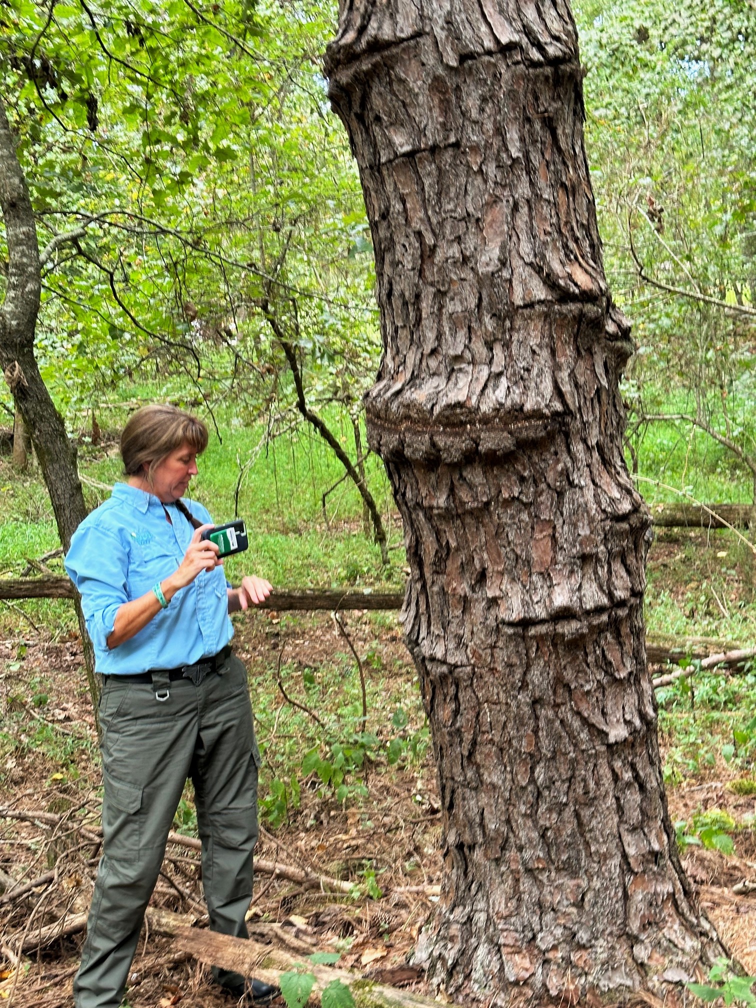 Early September Potpourri at Alabama's Joe Wheeler State Park! - Steve ...