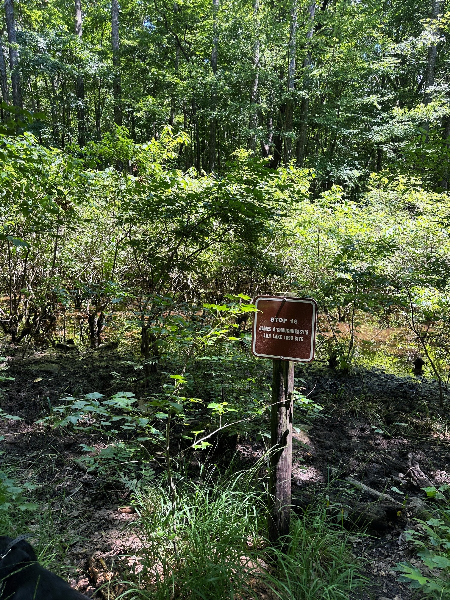 Brief Form Post #35: Visiting the Old Lilly Pond at Monte Sano State ...