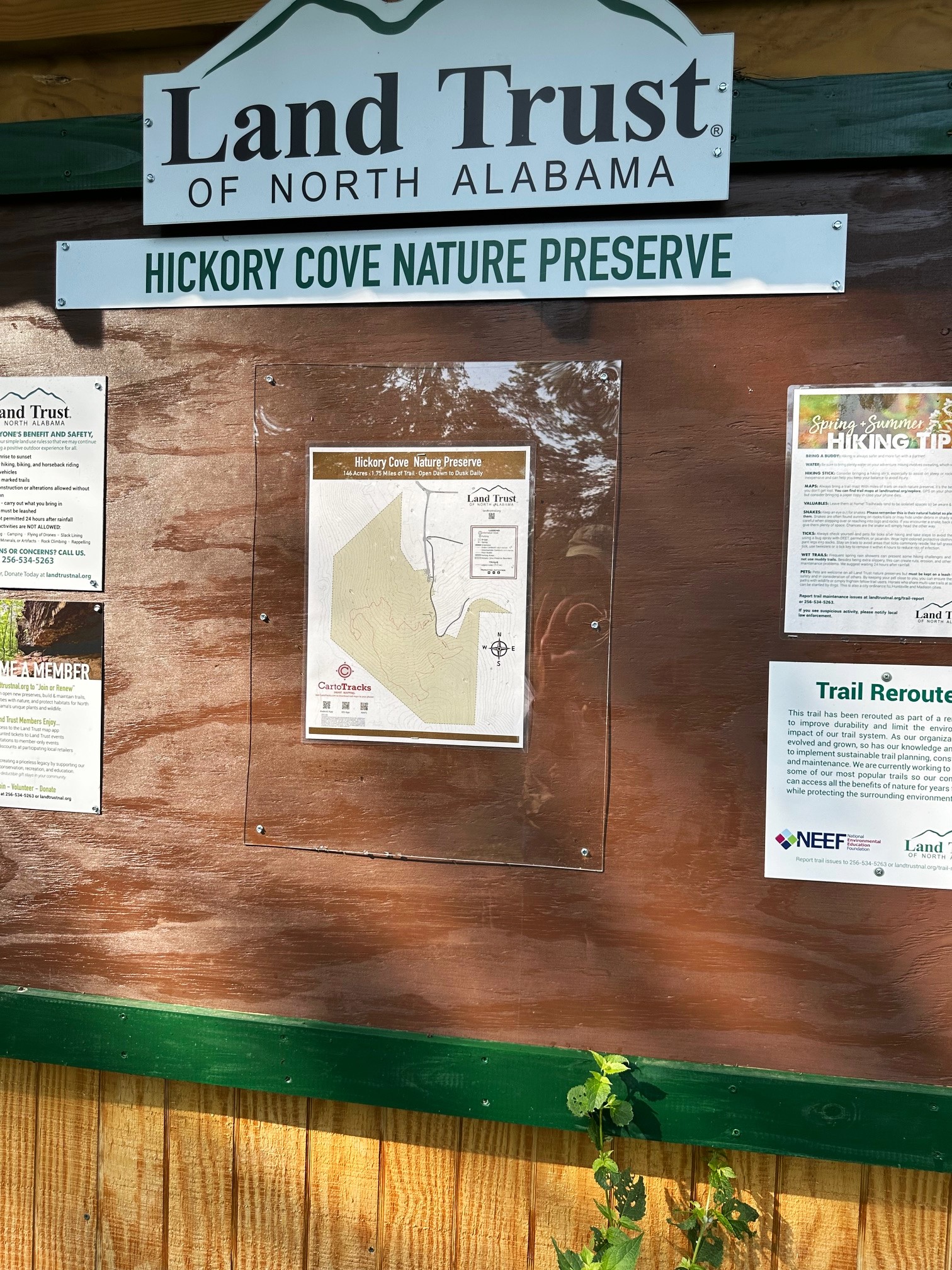 Fungi and Other Discoveries along the Hickory Cove Nature Preserve's ...