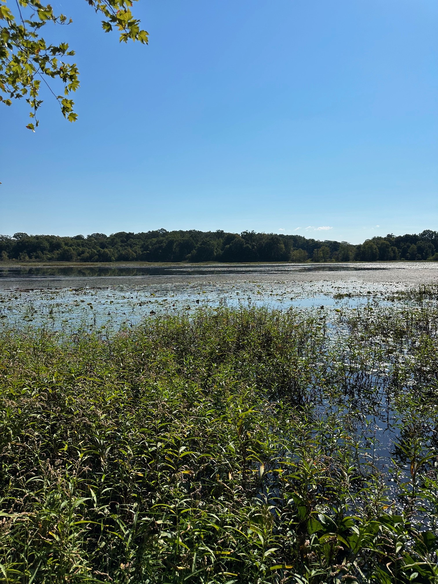 Blackwell Swamp and Rockhouse Bottom in Early October on the Wheeler ...