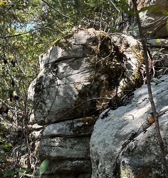 First Moderate Hike (Saunter) Since Knee Replacement Surgery: Rainbolt ...