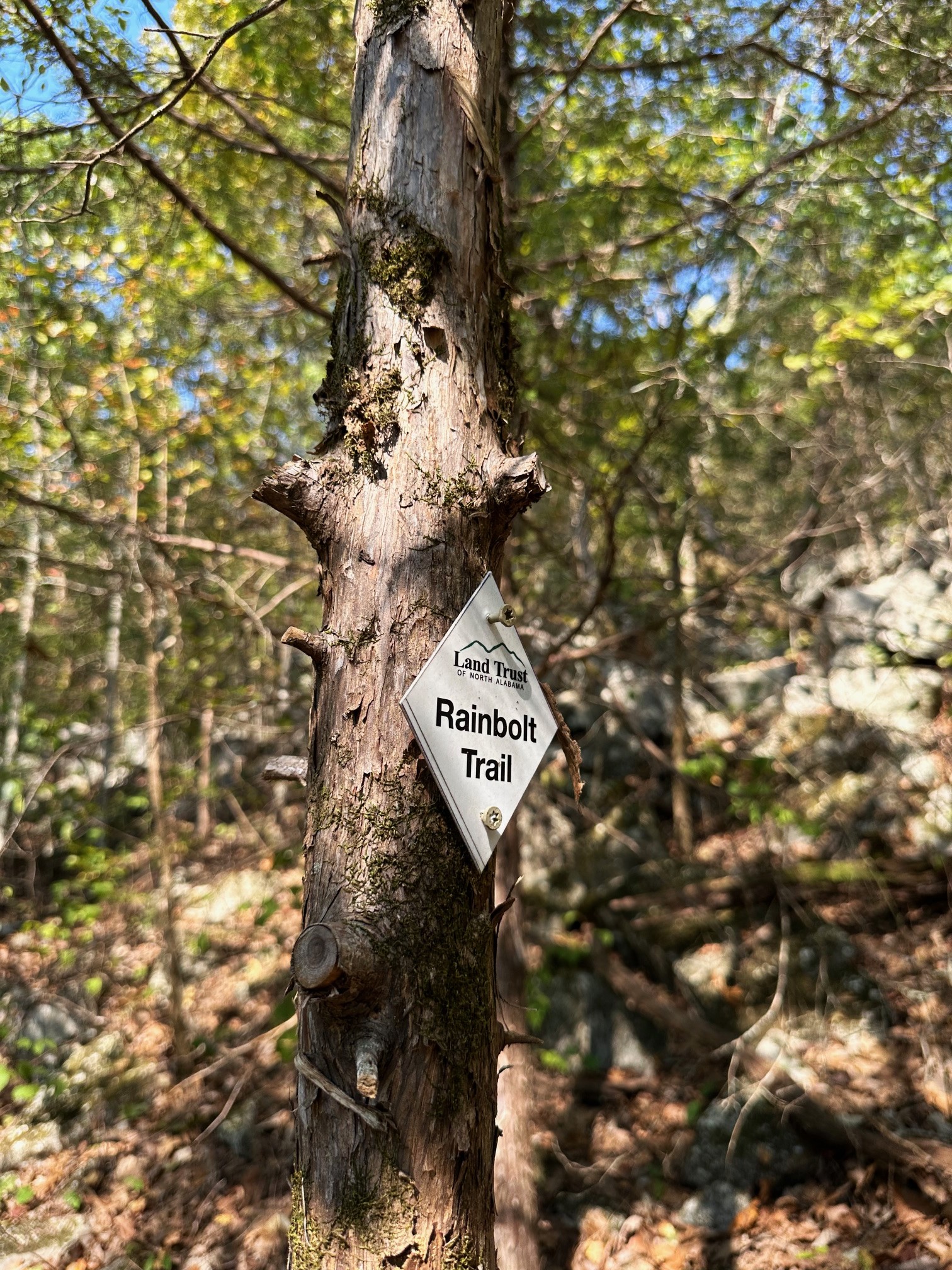 First Moderate Hike (Saunter) Since Knee Replacement Surgery: Rainbolt ...